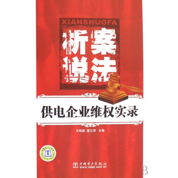 析案说法(供电企业维权实录)
