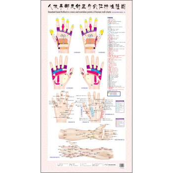 人体手部反射区与穴位标准挂图