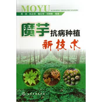 魔芋抗病种植新技术