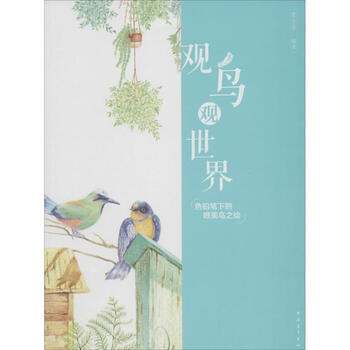 观鸟观世界
