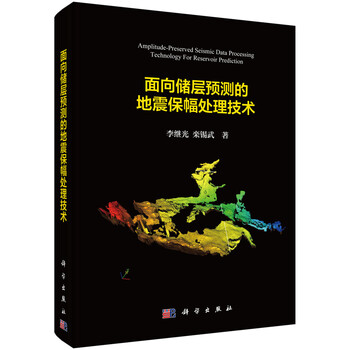 [正版图书]面向储层预测的地震保幅处理技术