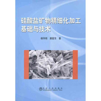 硅酸盐矿物精细化加工基础与技术