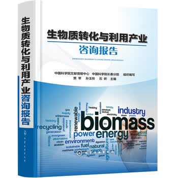 生物质转化与利用产业咨询报告