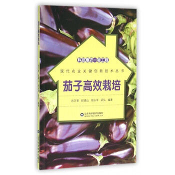 茄子高效栽培/现代农业关键创新技术丛书