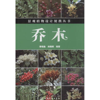 乔木