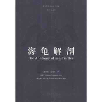 海龟解剖