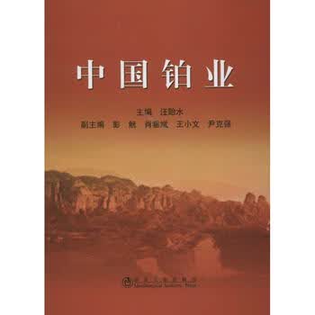 中国铂业