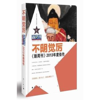 《新周刊》2013年度佳作 不明觉厉