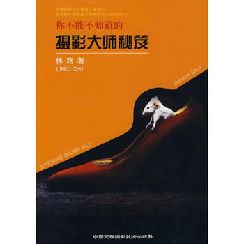 摄影大师秘笈