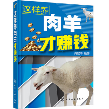 这样养肉羊才赚钱（实用）