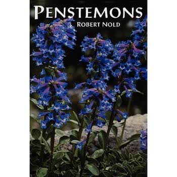 Penstemons