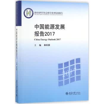 中国能源发展报告.2017