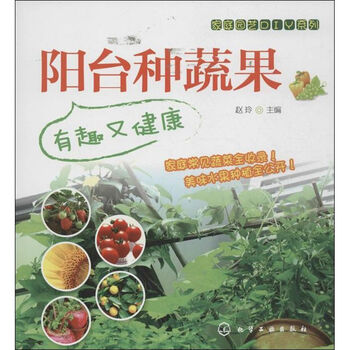 阳台种蔬果 
