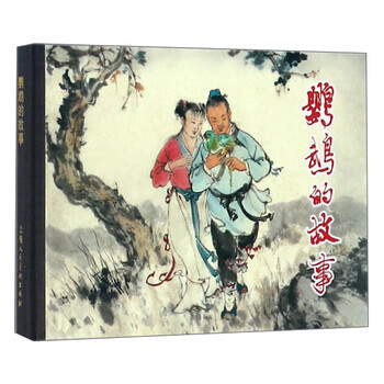 鹦鹉的故事