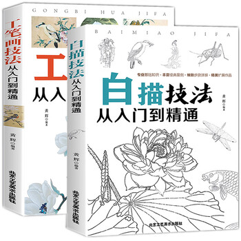 全套2册 正版白描技法从入门到精通+工笔画技法从入门到精通 写意花卉草虫美术绘画教材书籍 零基础学水墨中国画教程