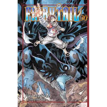 Fairy Tail 30