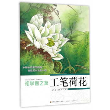 工笔荷花/初学者之友