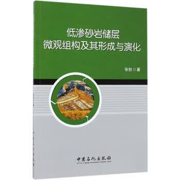低渗砂岩储层微观组构及其形成与演化