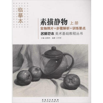 名师范本(临摹本)素描静物·上册
