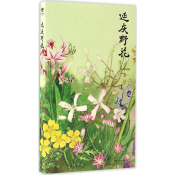延庆野花