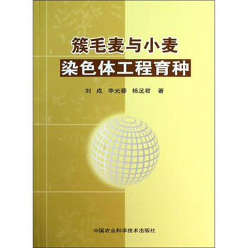 簇毛麦与小麦染色体工程育种