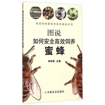 图说如何安全高效饲养蜜蜂