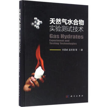 天然气水合物实验测试技术