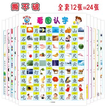 婴幼儿启蒙认知早教挂图无声双面全套12张宝宝看图识字卡片挂图撕不破0-3-6岁幼儿童学前教育墙面装饰