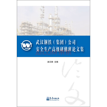 武汉钢铁（集团）公司安全生产高级研修班论文集