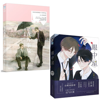 意外事故+眼中星 知名作家蓝淋超人气经典作品（套装共2册）