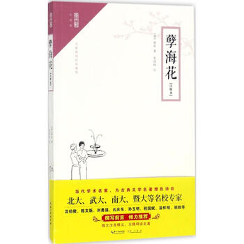 孽海花(注释本,无障碍阅读版)