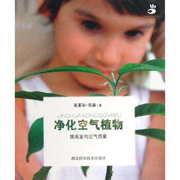 净化空气植物
