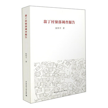 翁丁村聚落调查报告
