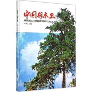 中国杉木王