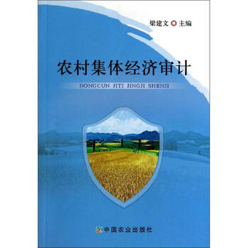 农村集体经济审计