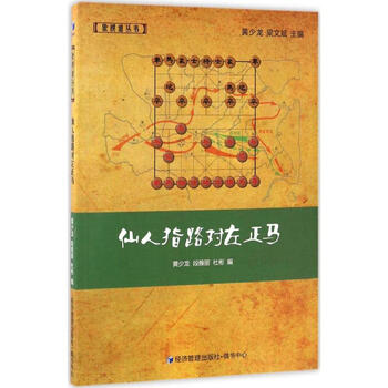 仙人指路对左正马