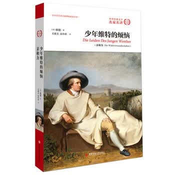 少年维特的烦恼亲和力（全译本）