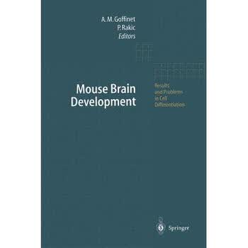 Mouse Brain Development