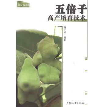 五倍子高产培育技术