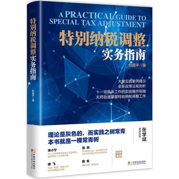 特别纳税调整实务指南