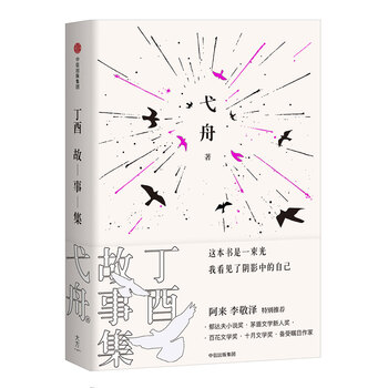 丁酉故事集 弋舟 著 中信出版社