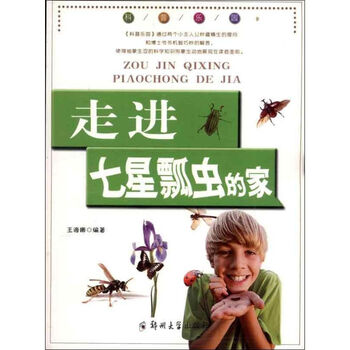 走进七星瓢虫的家