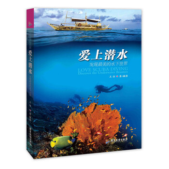 爱上潜水：发现最美的水下世界