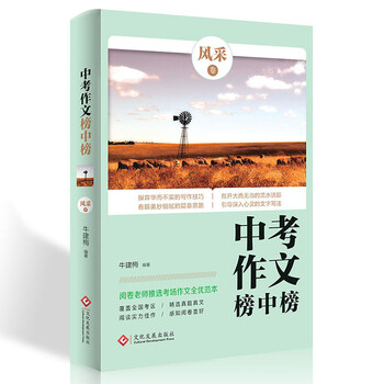 中考作文榜中榜·风采卷 中考满分作文教材辅导书 初中生作文书大全 中考写作高分作文素材 