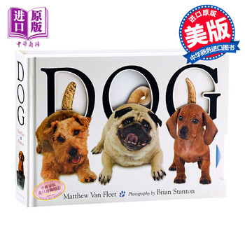 英文原版 Dog 狗 趣味启蒙认知 动物 大开本纸板触摸操作书 儿童认知玩具书 启蒙认识