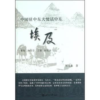 埃及/中国驻中东大使话中东