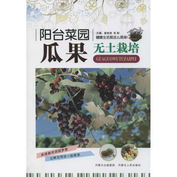 瓜果无土栽培