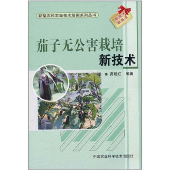 茄子无公害栽培新技术