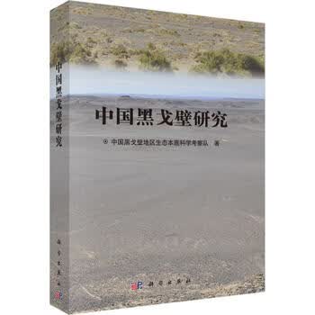 中国黑戈壁研究