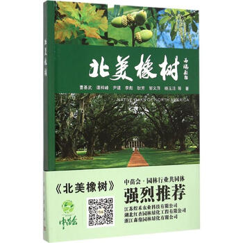 北美橡树